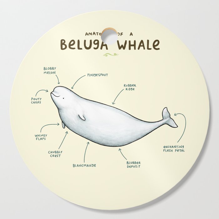 Anatomy of a Beluga Whale Cutting Board by Sophie Corrigan | Society6