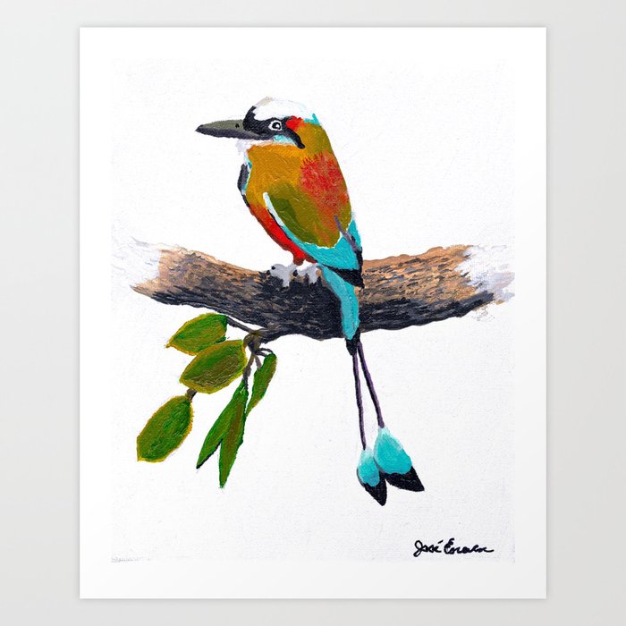 Torogoz - Bird Art Print by José E. | Society6