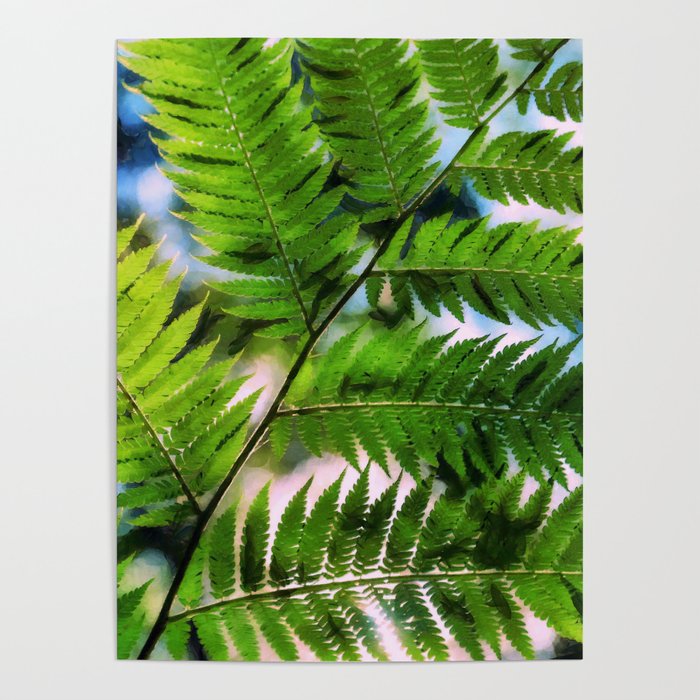 Fern Poster by CatyArte | Society6