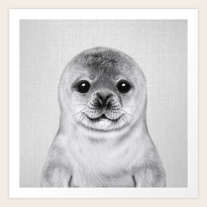 Baby Arctic Seal Drawing