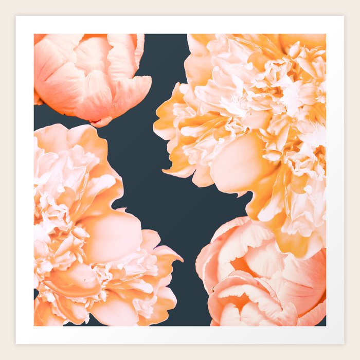 Dark Peach Background