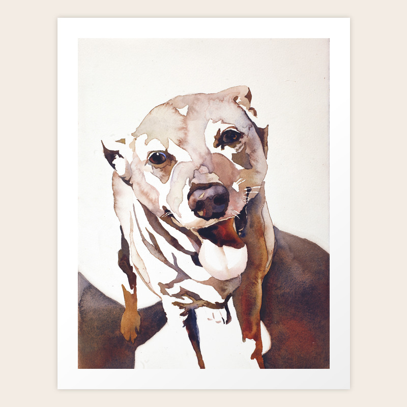 Monochromatic Animal Paintings