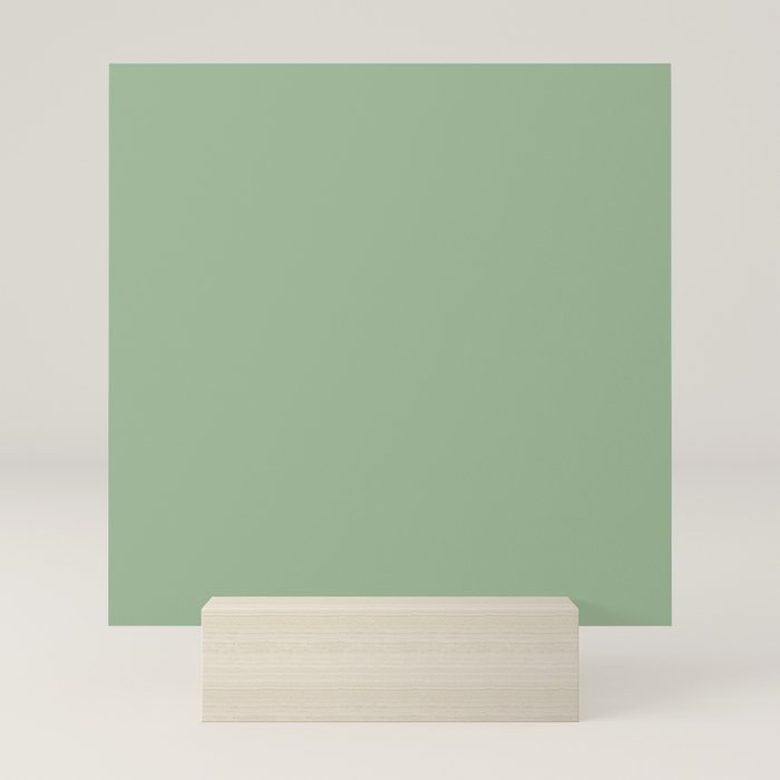 light green solid color