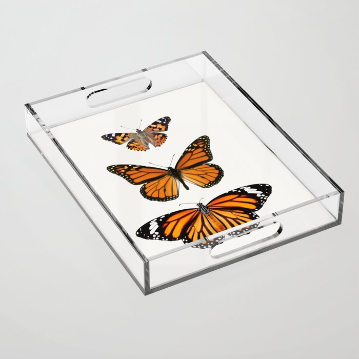 monarch tray