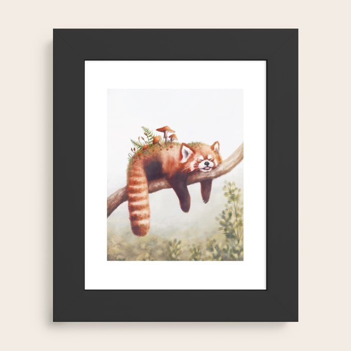 red panda print