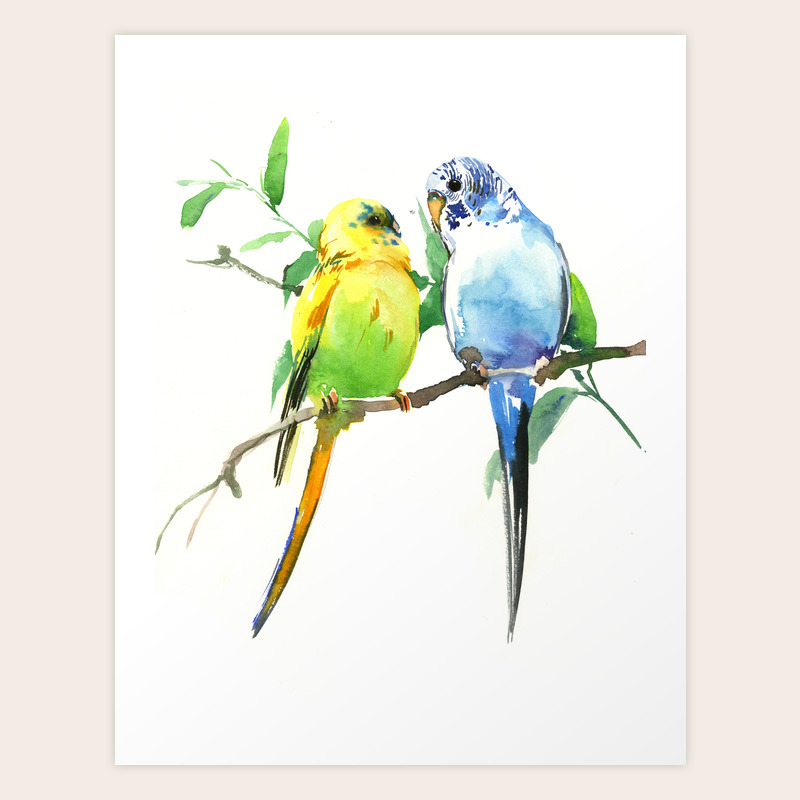 Paintings Of Love Birds