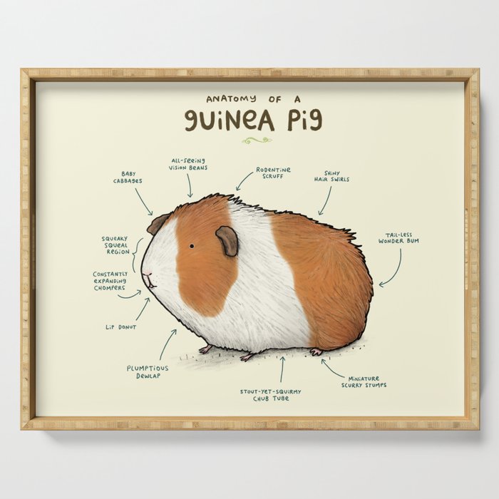 guinea pig tray