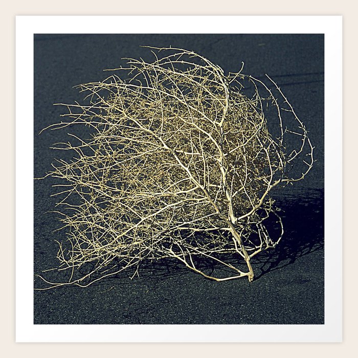 Tumbleweed On Road Art Print by DEC02 | Society6