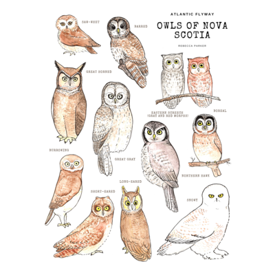 @birdsandbotanybecky | Linktree