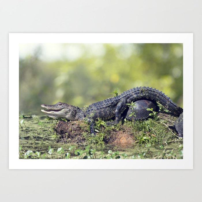 Alligator Swamp Art