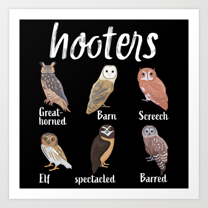 Hooters Owl
