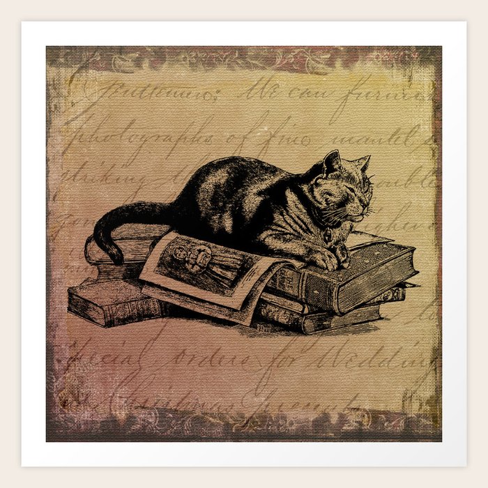 Cats Collage Background