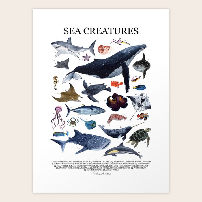 sea creatures names