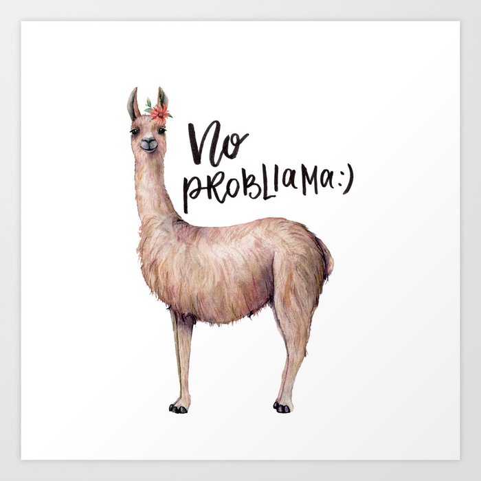 No Probllama