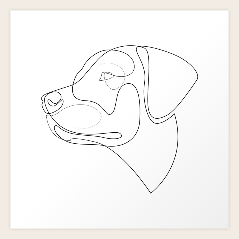 Labrador Retriever Puppy Drawing