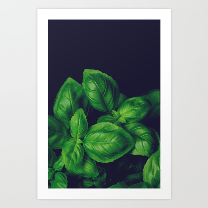 Basil Leaf Artwork