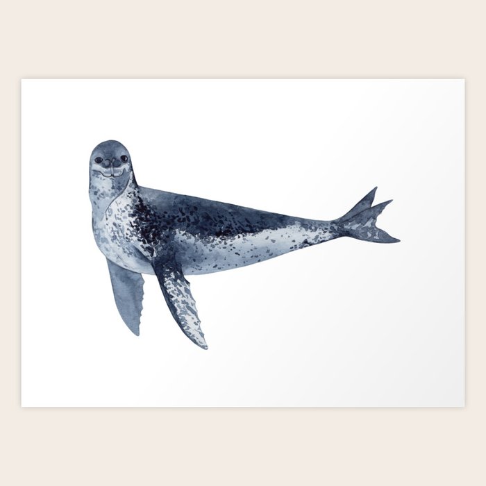 Leopard Seal