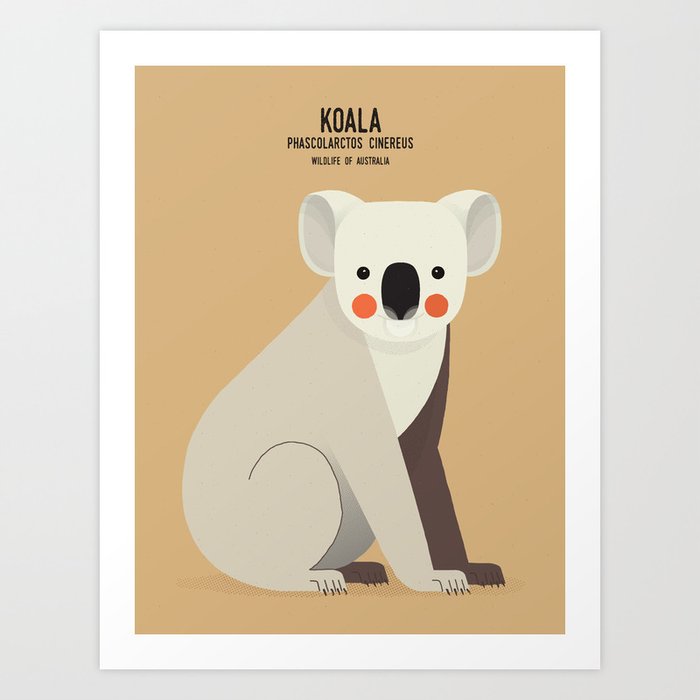 Koala, Wildlife of Australia Art Print by The Printed Sparrow | Society6
