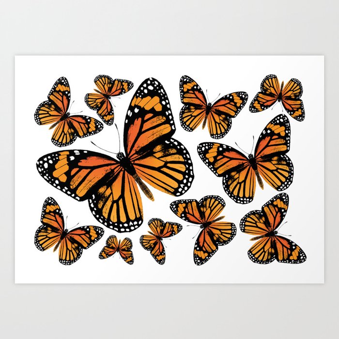 Monarch Butterfly Wing Template