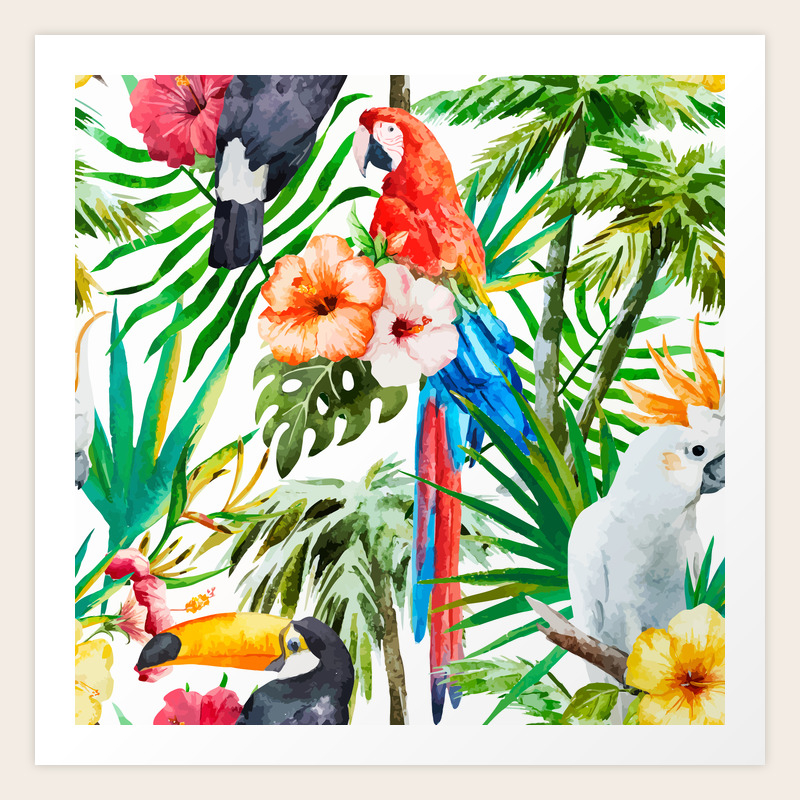 Tropical Bird Art