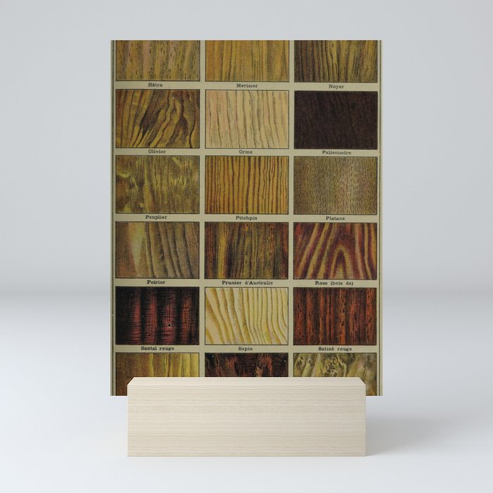 Wood Grain Chart Mini Art Print by Blue Specs Studio | Society6