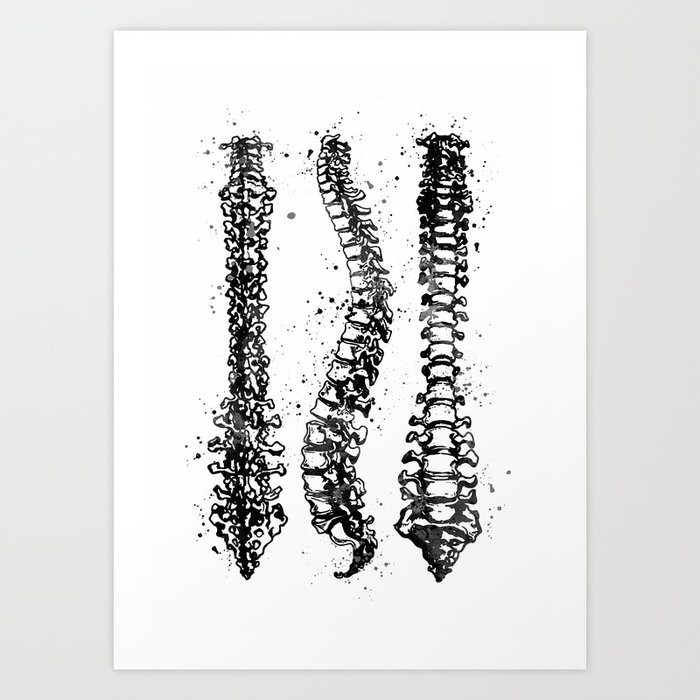 Human Spine Drawing