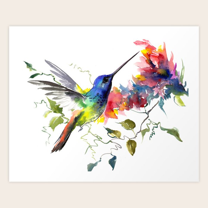 Unique Hummingbird Designs
