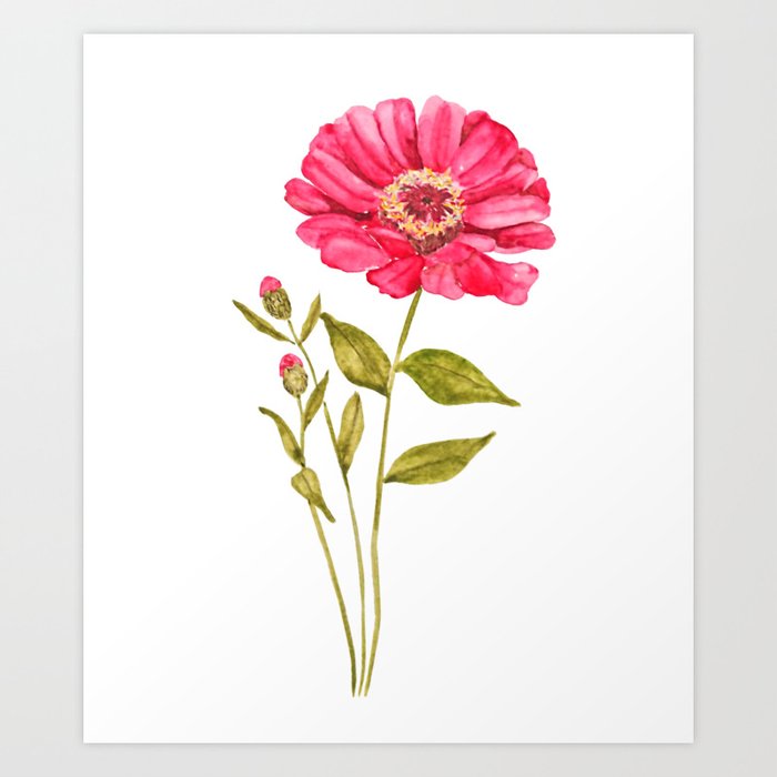 Zinnia Painting