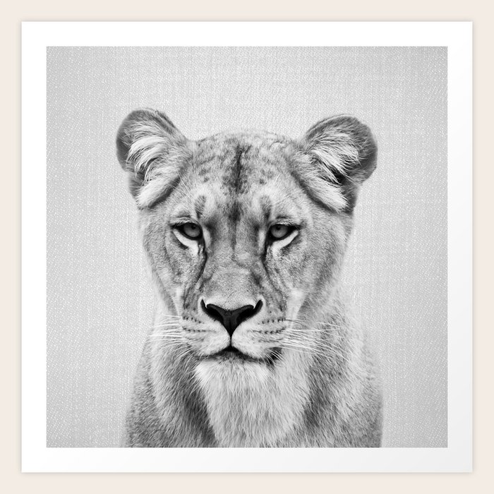 lioness print