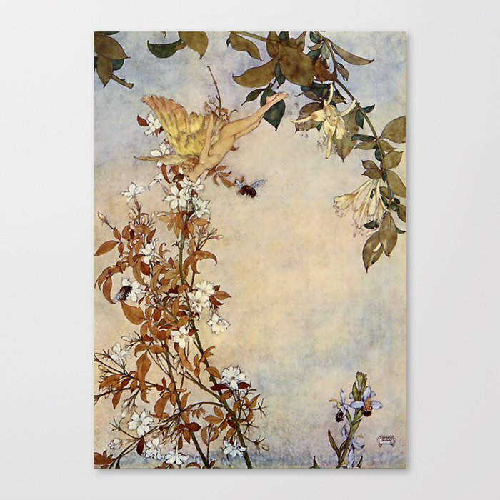 “Ariel and the Bee” Fairy Tale Art by Edmund Dulac Canvas Print by ...