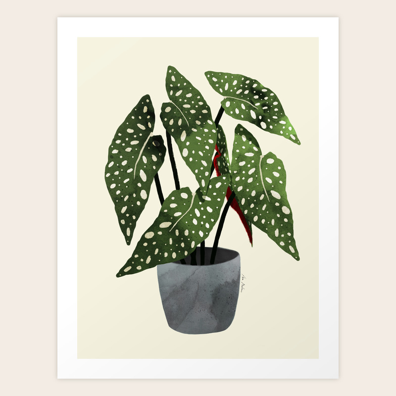 Prints Digital Prints Begonia Print etna.com.pe