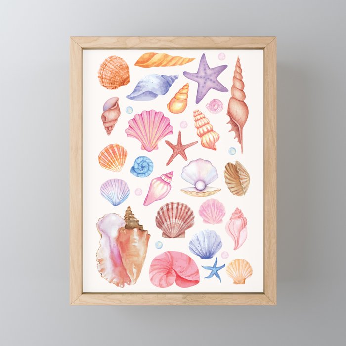 watercolour seashells
