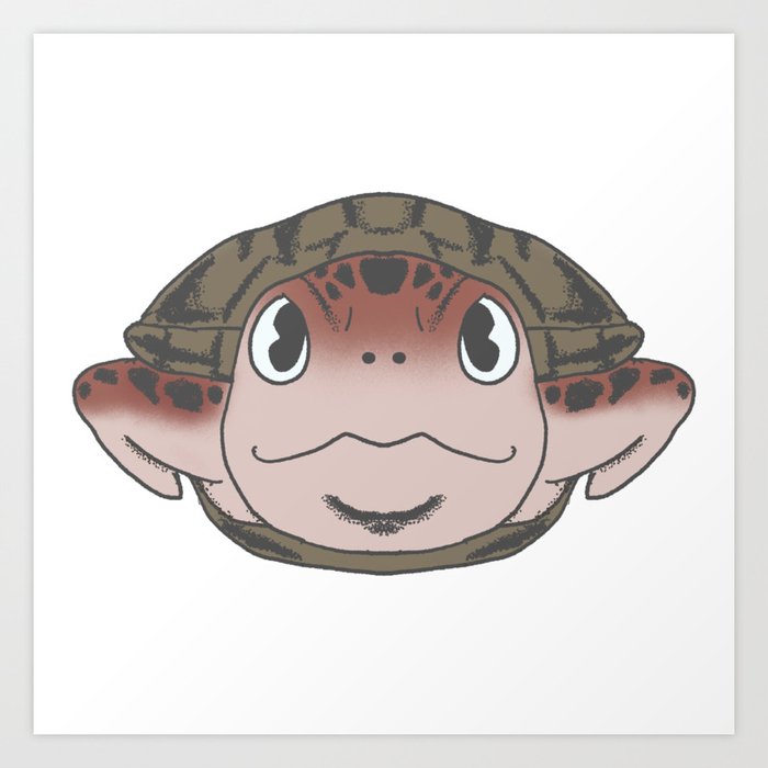 Turtle Face Drawing