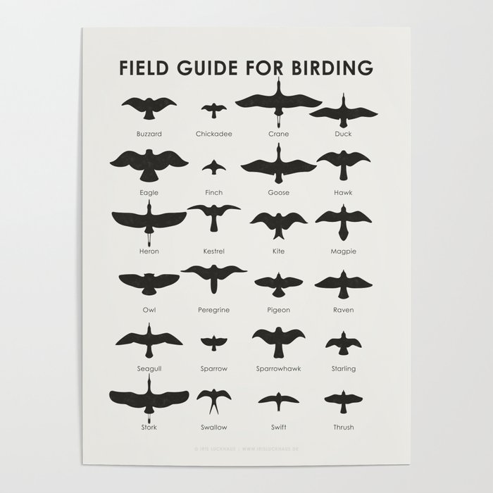 Field Guide for Birding Poster by Iris Luckhaus | Society6