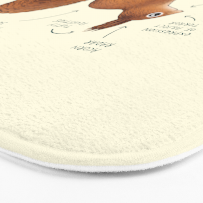 squirrel bath mat