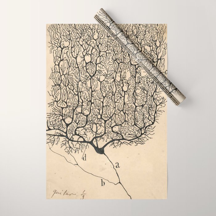 Neuron Drawing By Santiago Ramón Y Cajal Wrapping Paper by ...
