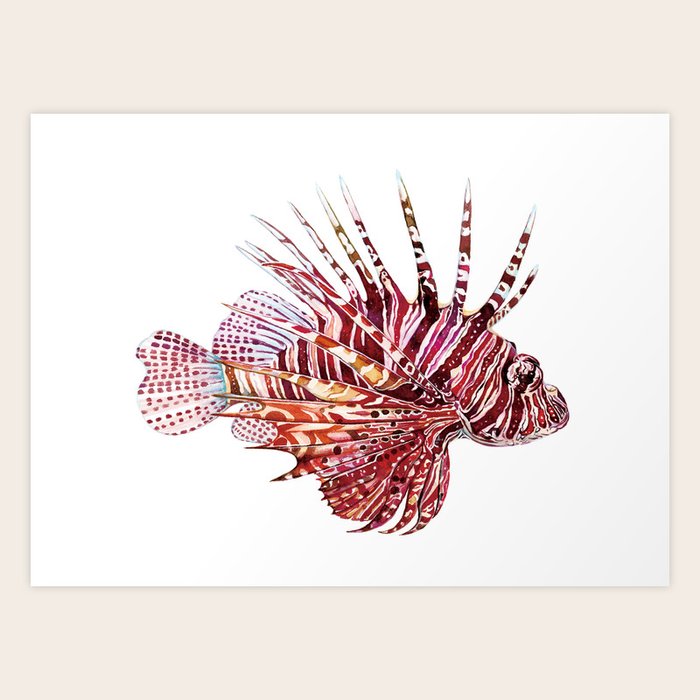 Lionfish Drawing