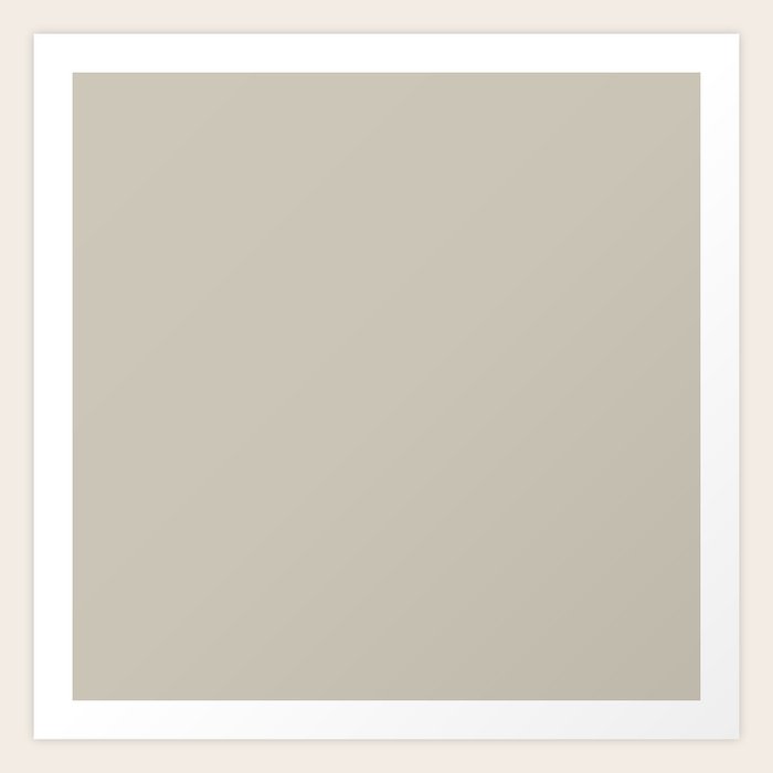 light grey solid color