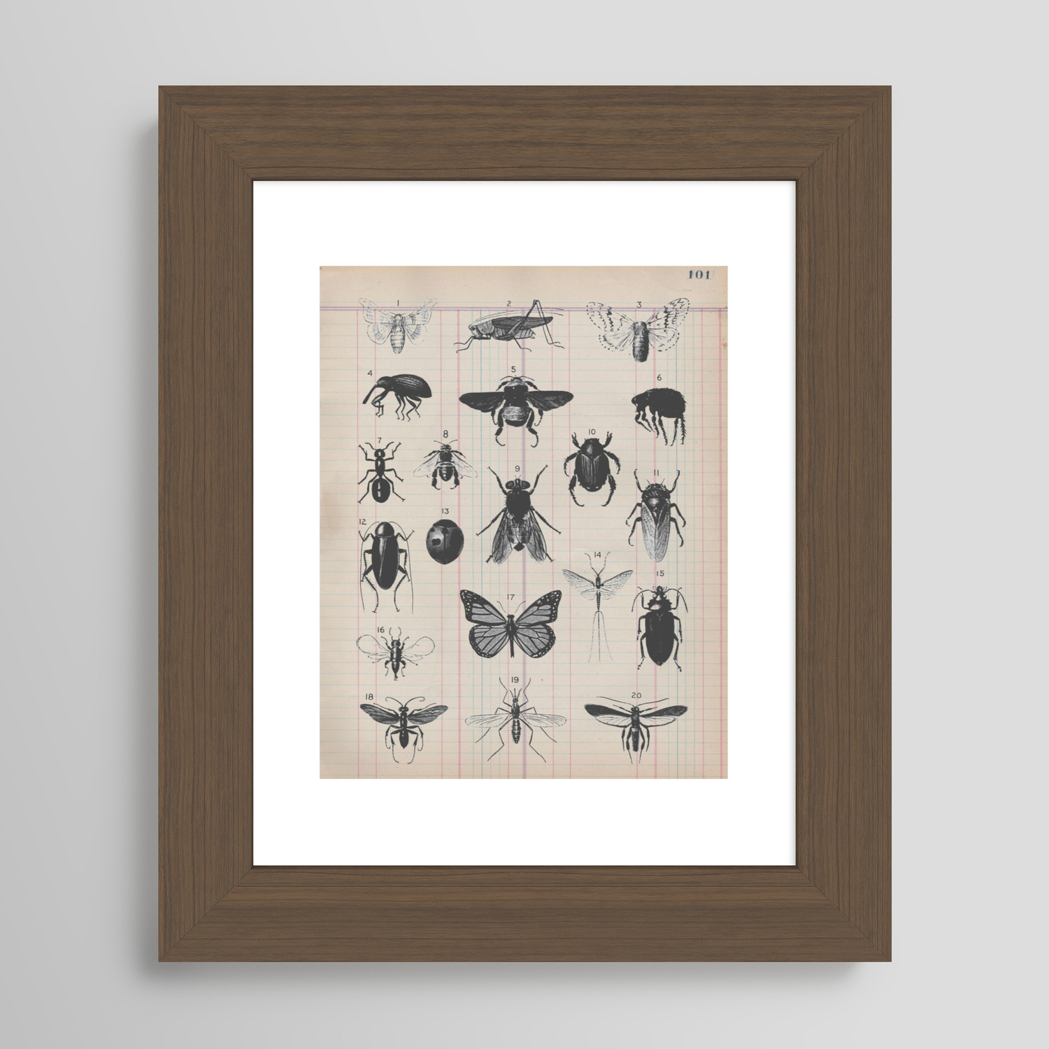 vintage-insect-study-on-antique-1800-s-ledger-paper-print-framed-art-print-by-paper-rescue-designs-society6