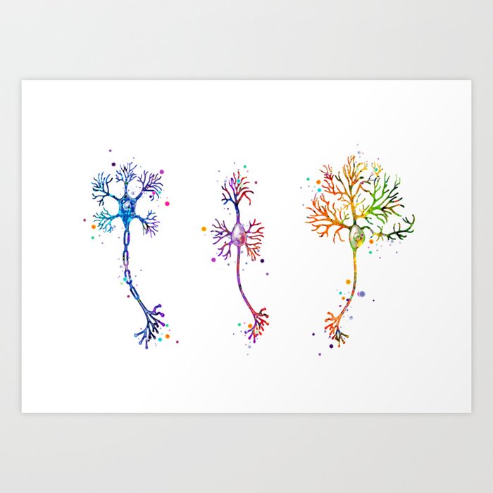 Neuroscience Art Gallery