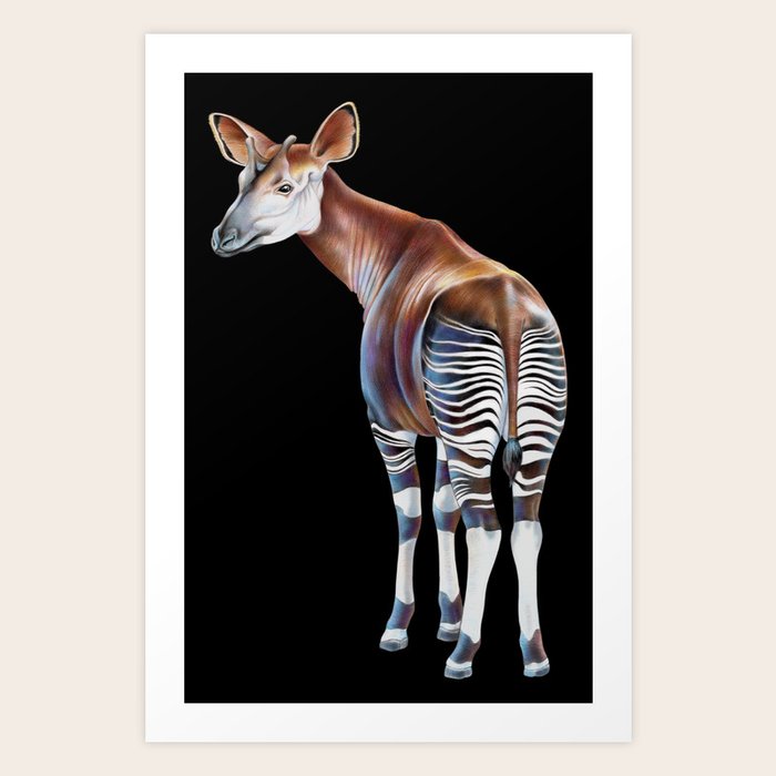 Okapi Art