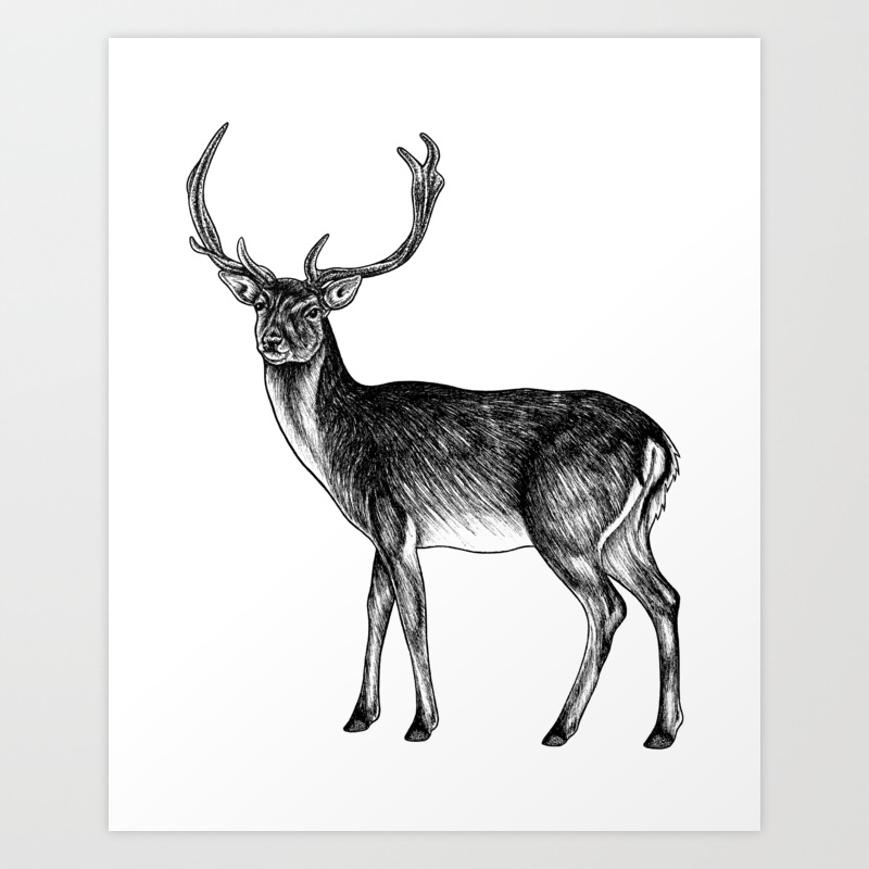 Art & Collectibles ORIGINAL drawing Fallow deer Pen & Ink etna.com.pe