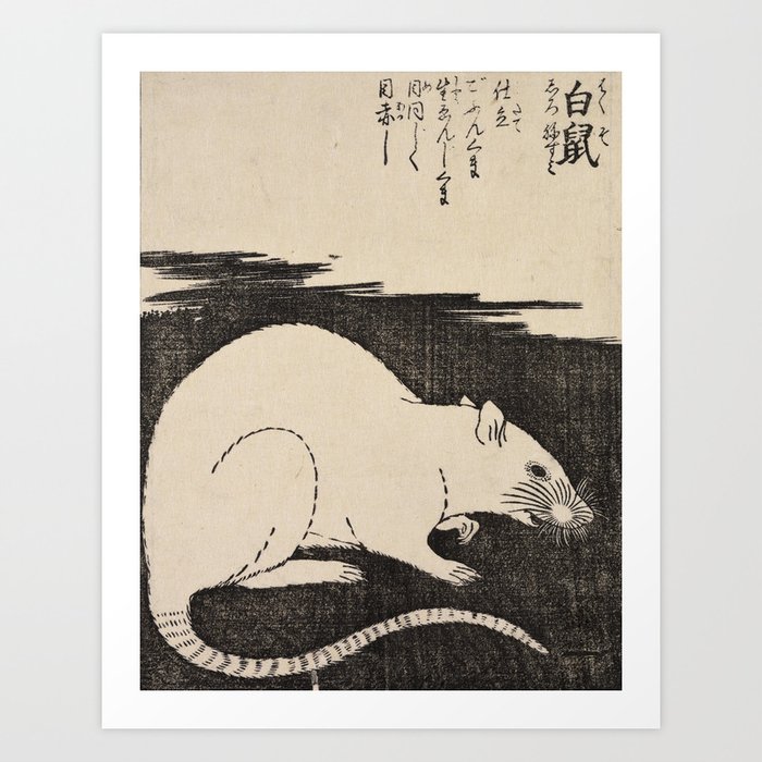 White Rat by Tachibana Morikuni , 1720 Art Print by Vintage Japan ...