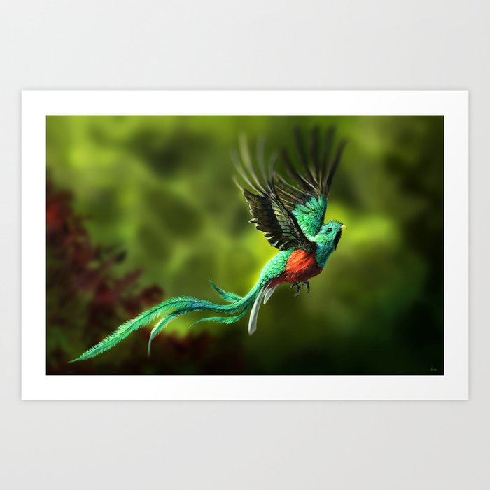 Quetzal Bird Flying