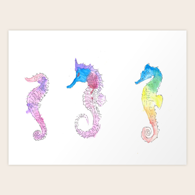 Rainbow Seahorses