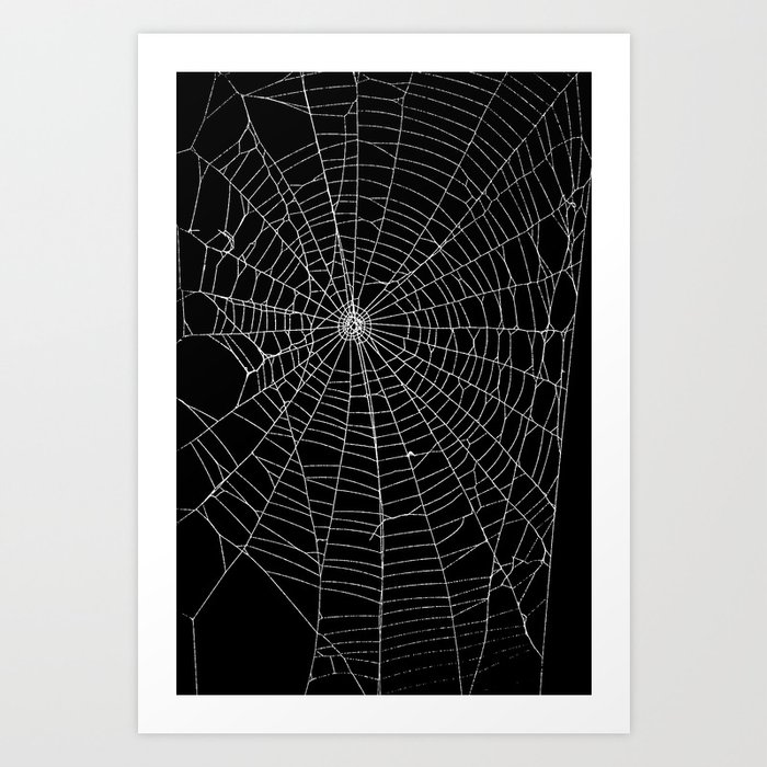 spider web pictures to print