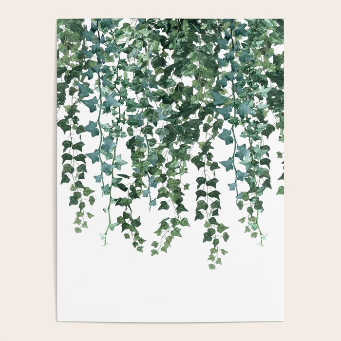 ivy artwork