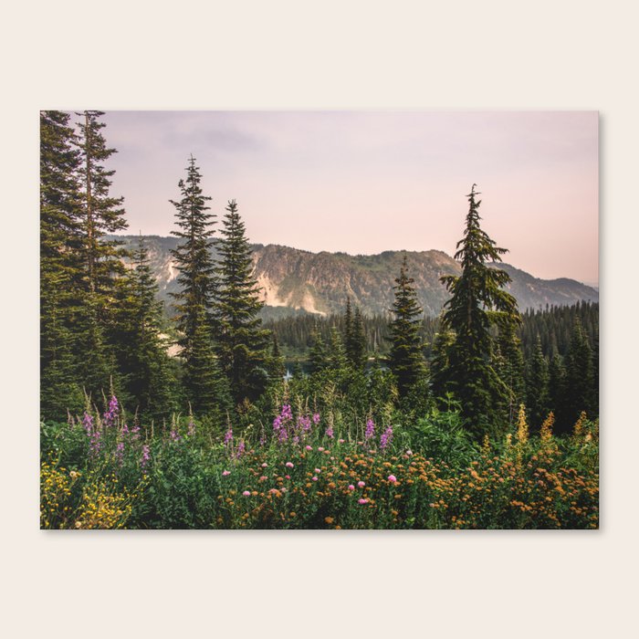 wanderlust wildflowers