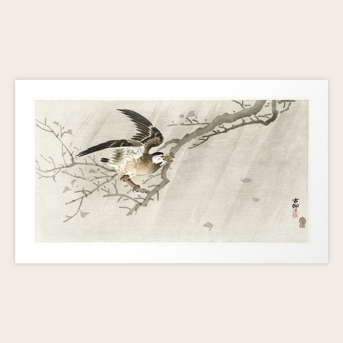 Gray starling in storm (1900 - 1910) by Ohara Koson (1877-1945). Art ...