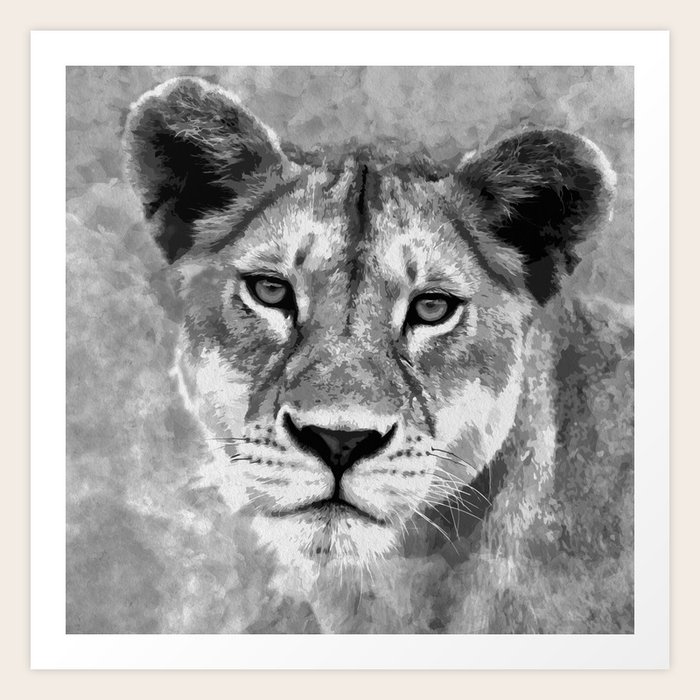 Female Lions Face Drawing